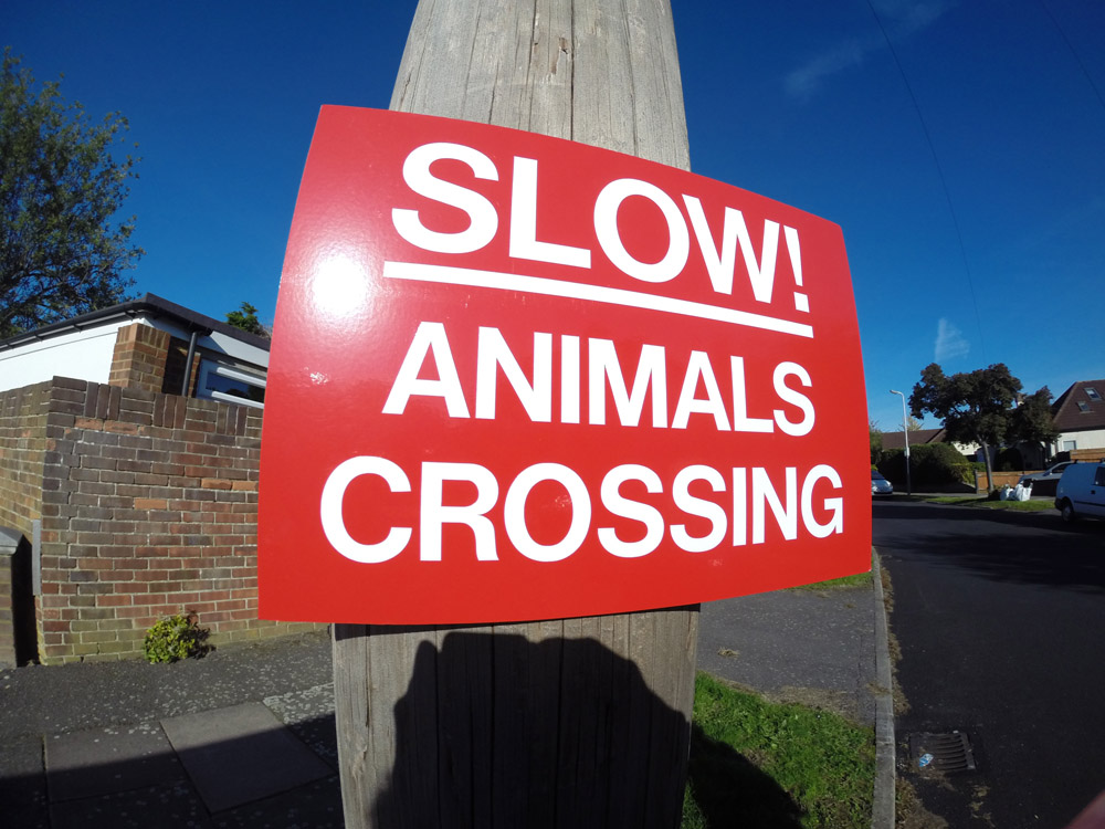 SLOW! ANIMALS CROSSING, Sign | Ruislip Signs and Graphics