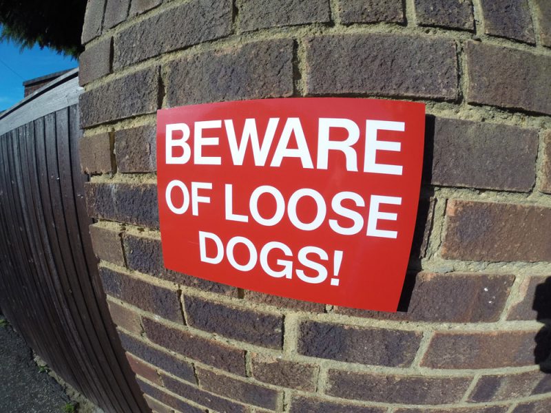 BEWARE OF LOOSE DOGS, Sign | Ruislip Signs and Graphics